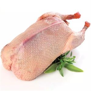 westernkosher.com